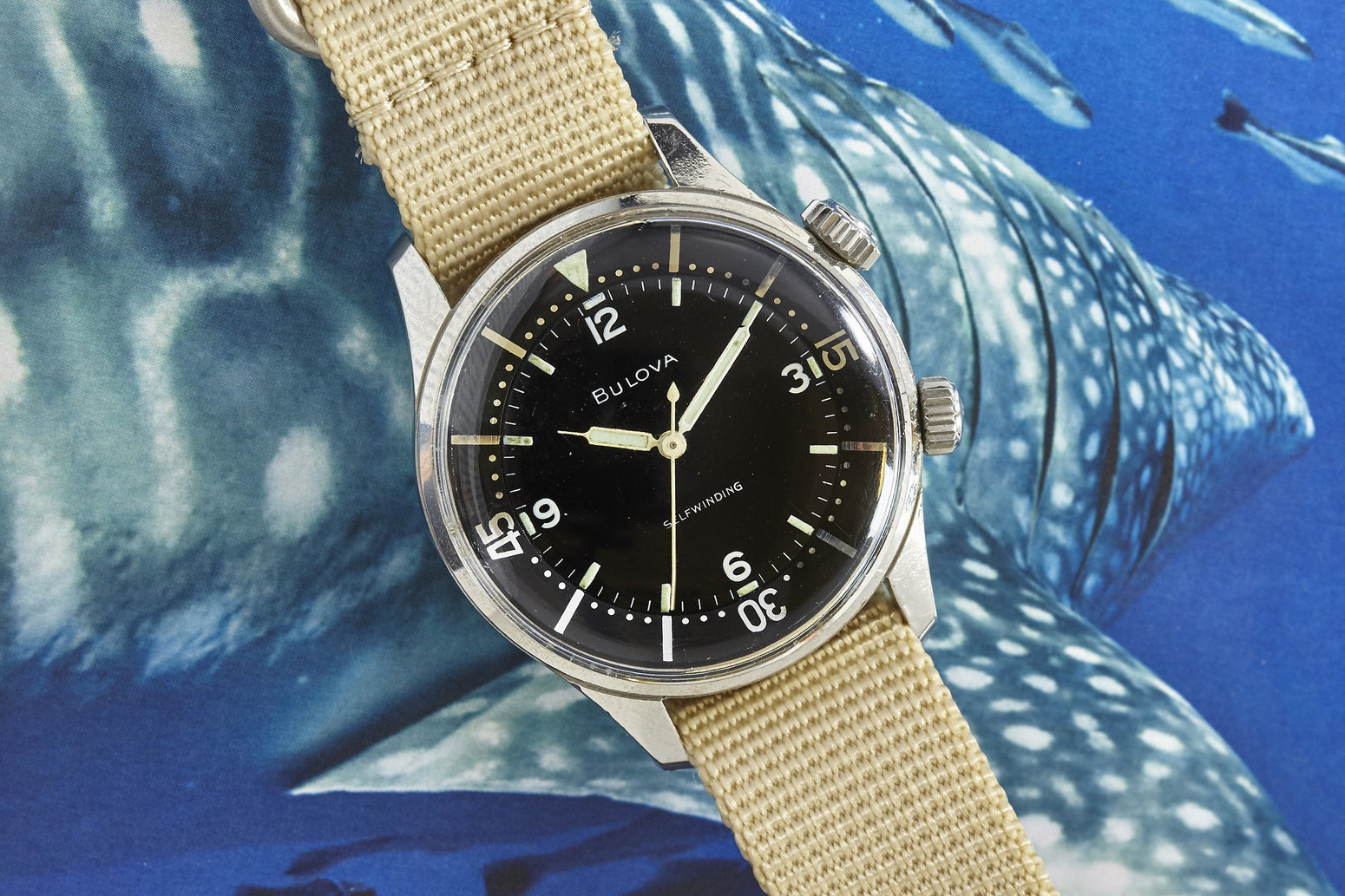 Bulova Super Compressor – Analog:Shift